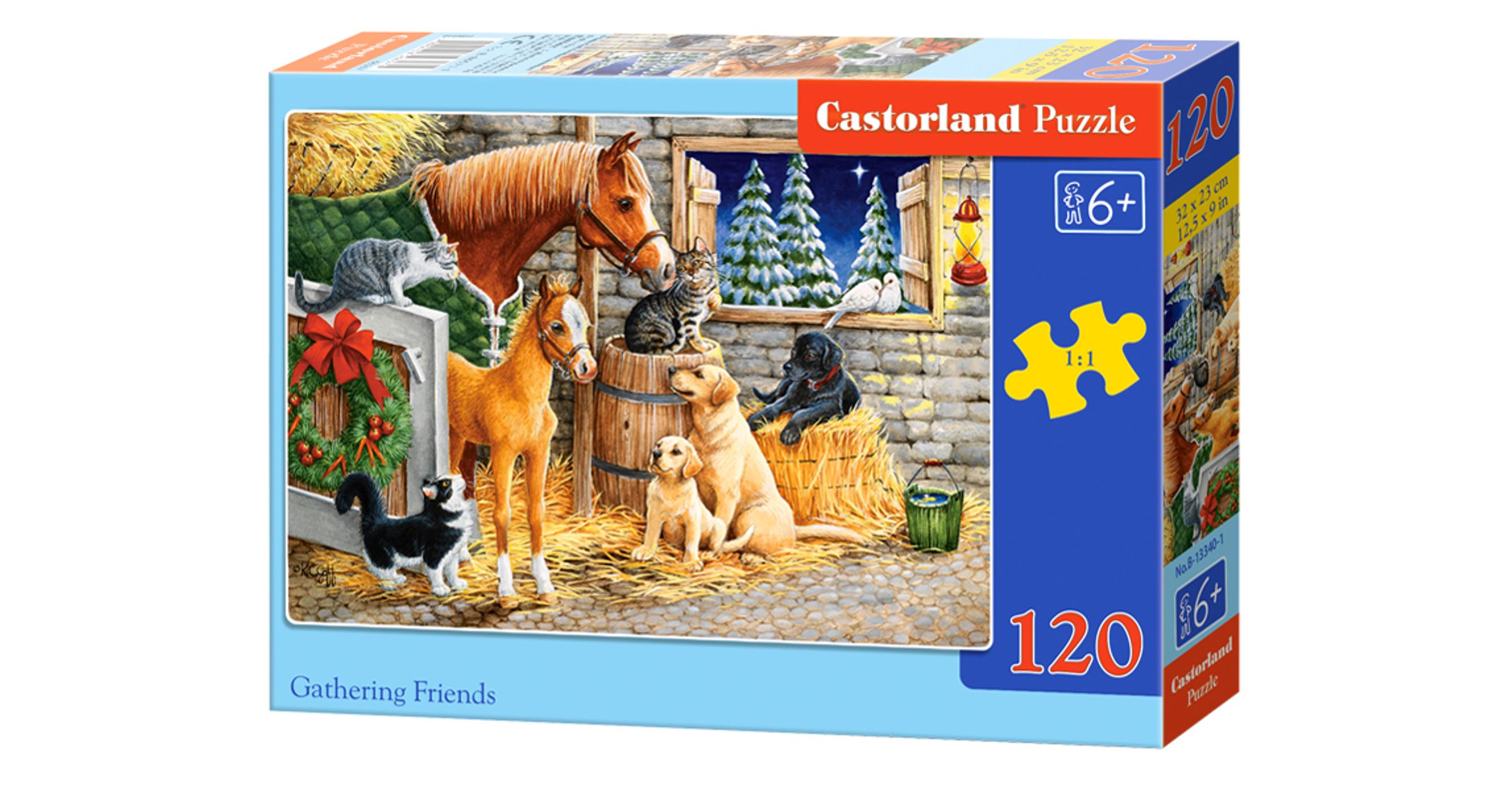 castorland puzzle